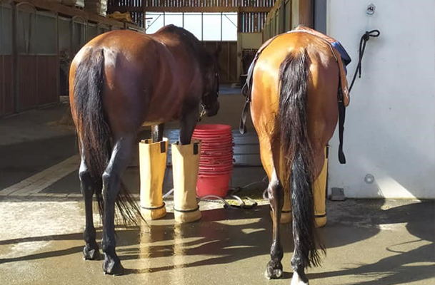 Allan Leon - Des nouvelles de la courte saison d'endurance – Hilton Herbs