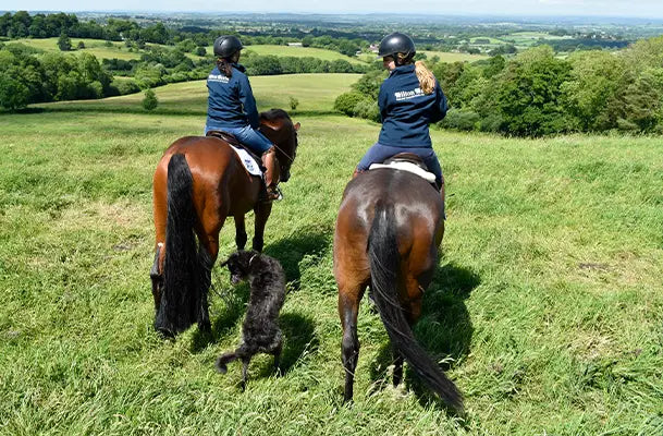 Why should we do hill work with our horses? – Hilton Herbs