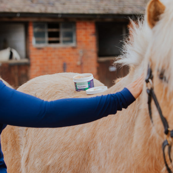 Phytobalm – Hilton Herbs