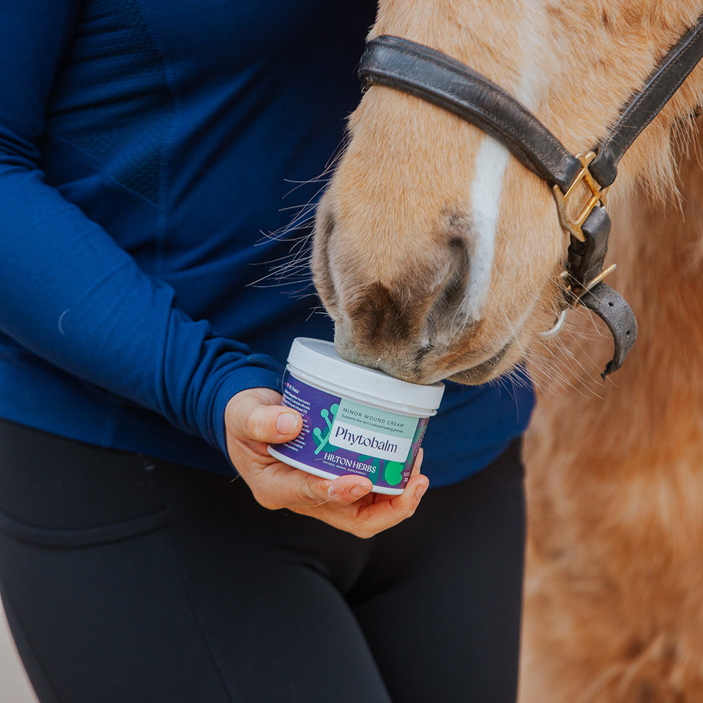 Phytobalm – Hilton Herbs